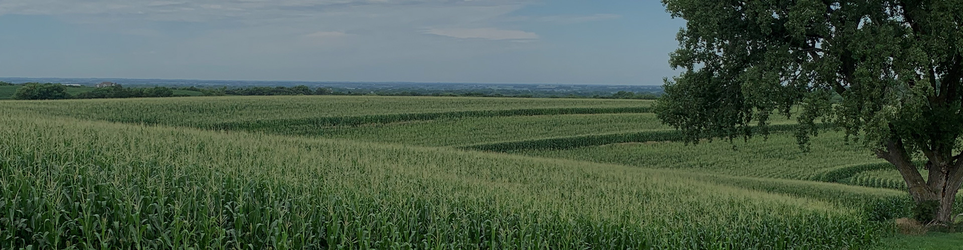 Medicare Supplement Insurance - Central States Indemnity Co. of Omaha